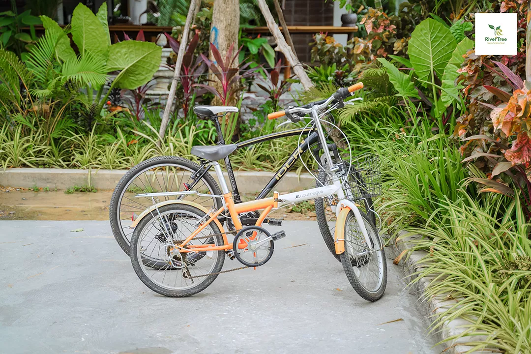 Cycling Tour in Kampot - RiverTree Villa & Resort, Kampot Cambodia ...
